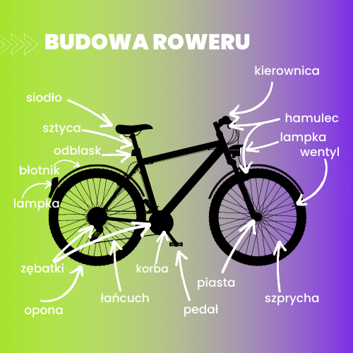 Rodzaje rowerów – jaki wybrać? Poznaj typy rowerów i ich przeznaczenie ...